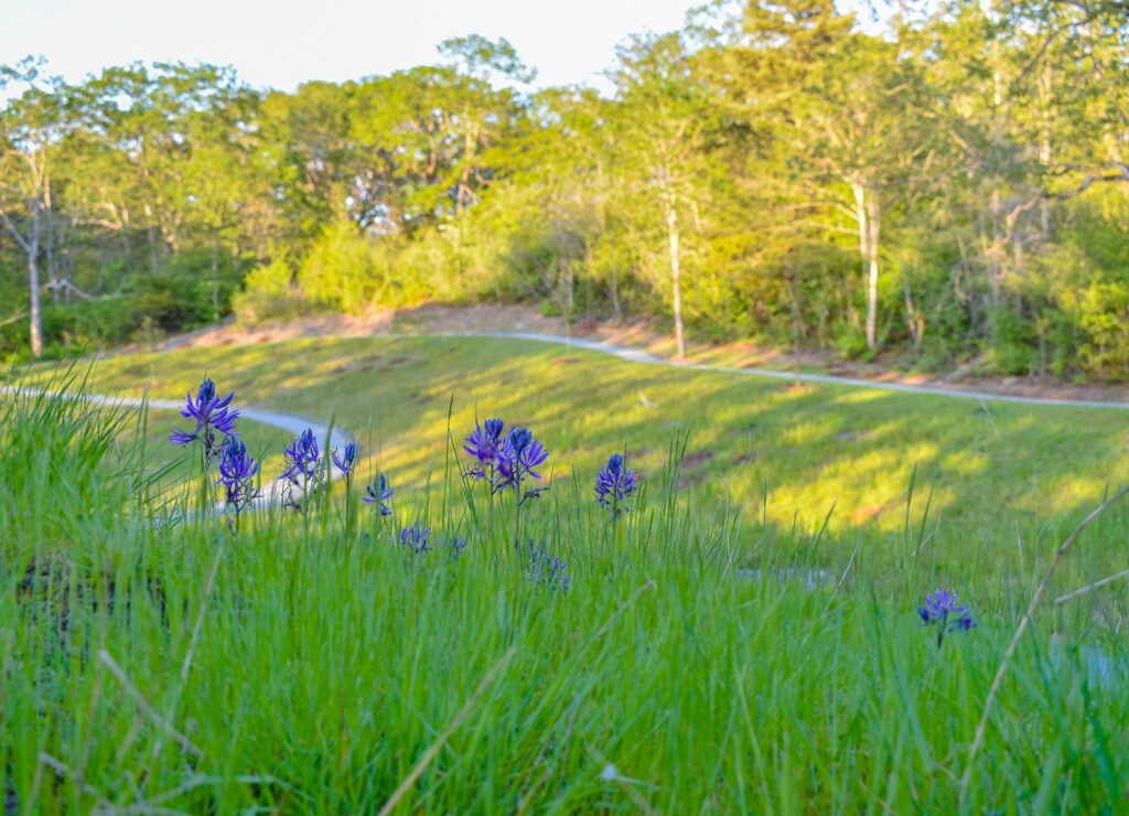Oak Tree Park Improvements | AHBL
